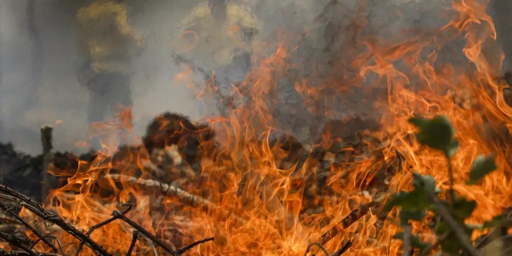 Incêndio ou queimada? Entenda as diferenças e os riscos no período seco