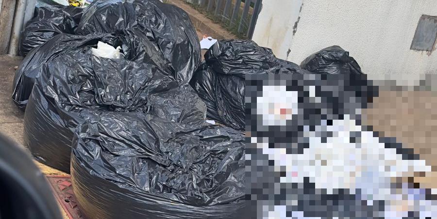 Moradores relatam acúmulo de lixo após feriado; consórcio diz que ...